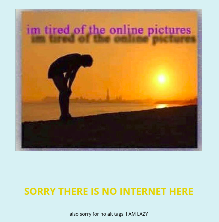 Matt Cropp 🌲🌲 (@mattcropp@social.coop) - social.coop